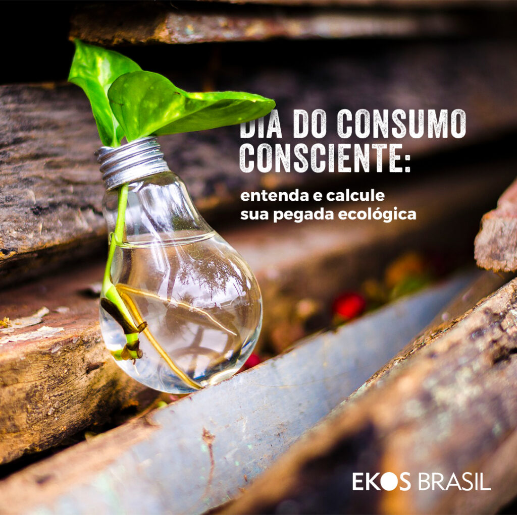 Exemplos De Consumo Consciente - FDPLEARN