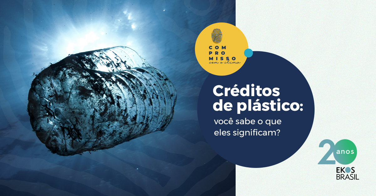 Créditos de plástico: você sabe o que eles significam? - Ekos Brasil