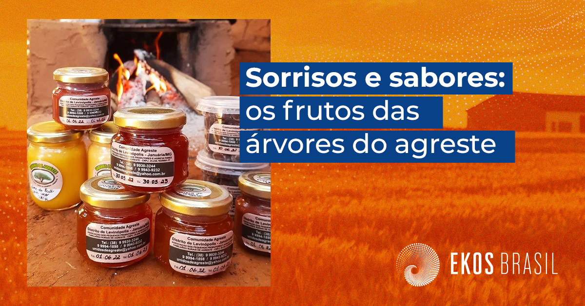 Sorrisos e sabores: os frutos das árvores do agreste - Ekos Brasil